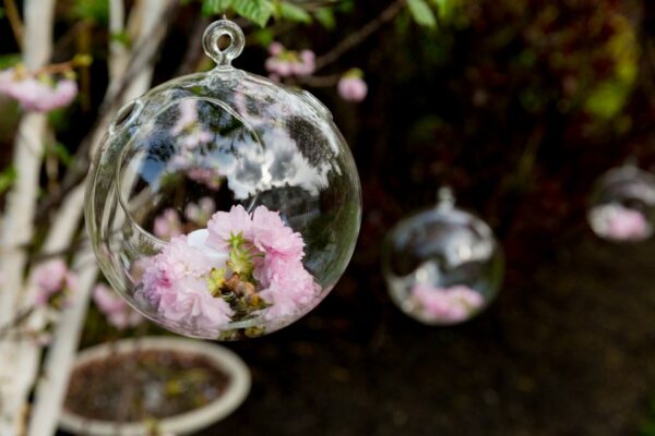 Allison and Rhys' Charming Cherry Blossom Wedding in New York ...