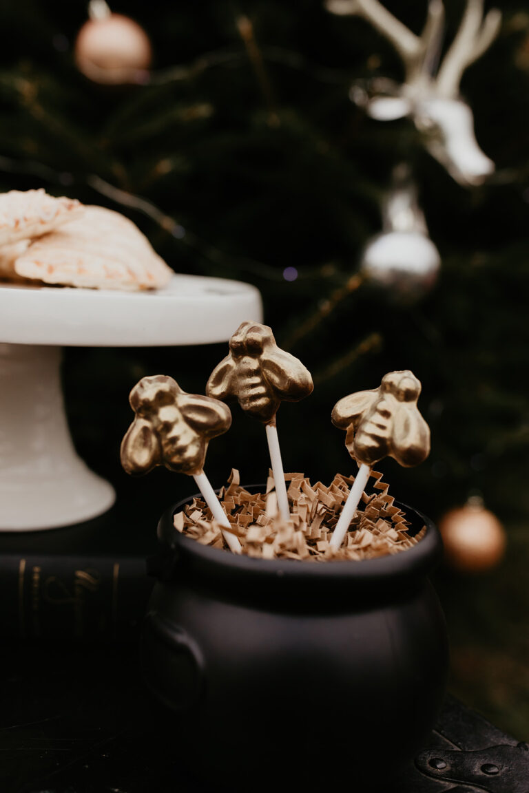 The Magic of Love: Harry Potter Themed Proposal in Ohio - Munaluchi Bride