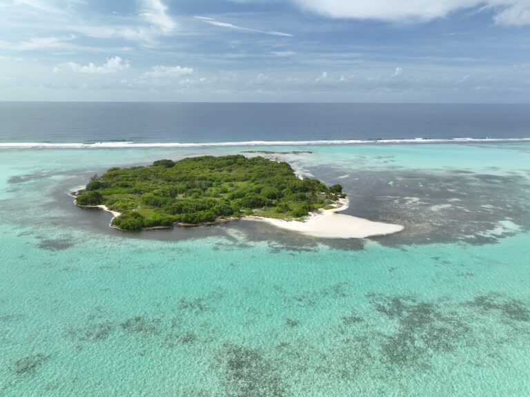 Dream in Cayman: An Exquisite Island Escape Awaits You - Munaluchi Bride